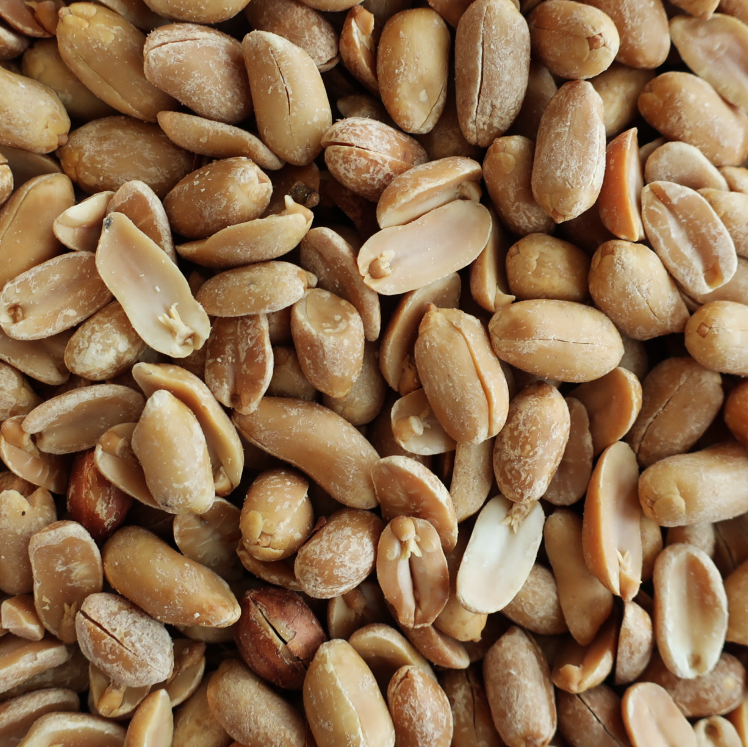 Organic Bulk Nuts, Seeds + Nut Butters | Black Cat Bulk Goods